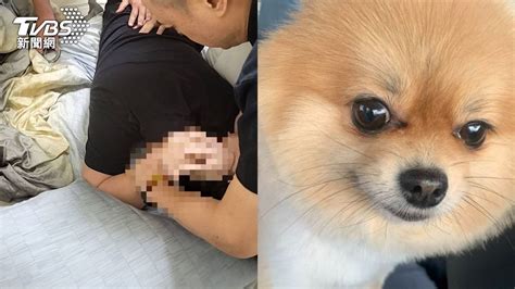新聞 三重滅門失聯二女婿躲台中遭逮 「到哪都抱博美狗被警鎖定」 看板gossiping Ptt網頁版