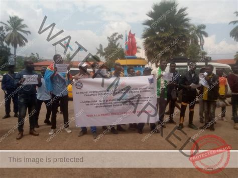 Sud Kivu La Ndsci Et Lanapeco Dans La Rue Pour Exiger Leffectivité