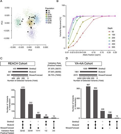 Developmental And Temporal Characteristics Of Clonal Sperm Mosaicism Cell