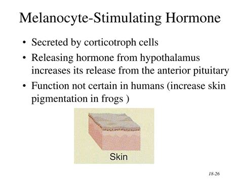 Ppt The Endocrine System General Functions Of Hormones Powerpoint