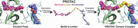 Rationalizing PROTAC-Mediated Ternary Complex Formation Using Rosetta | Journal of Chemical ...