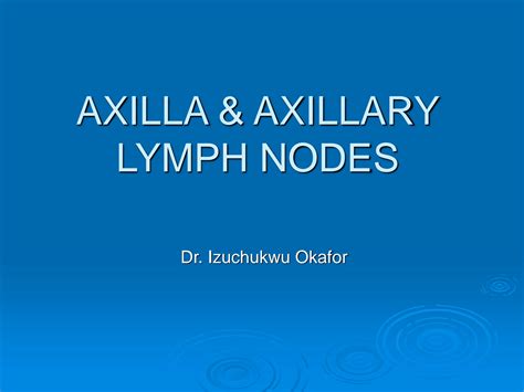 SOLUTION Axilla And Axillary Lymph Nodes Studypool