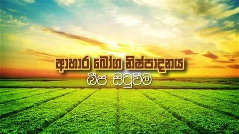 කෘෂිකර්මය අහාර බෝග නිෂ්පාදනය බීජ සිටුවීම 6 ශ්‍රේණිය ප්‍රායෝගික