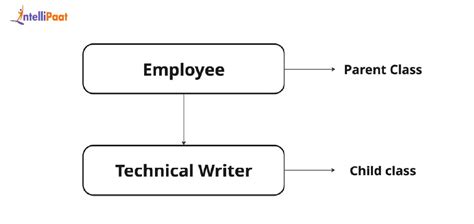 Python Inheritance With Examples