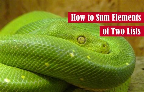 Common Elements Of Two Lists Python Design Talk