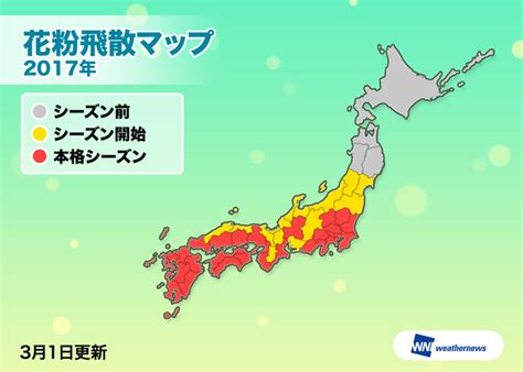 今日は雨上がりの花粉飛散に注意！来週、関東で「非常に多い」予想 ウェザーニュース