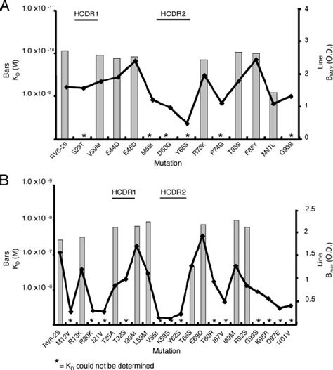 The Equilibrium Binding Affinity Of The Wild Type Or Mutant Fabs