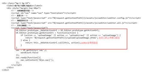 百度富文本编辑器ueditor自定义上传图片接口php 百度富文本编辑器ueditor自定义上传接口路径 Csdn博客