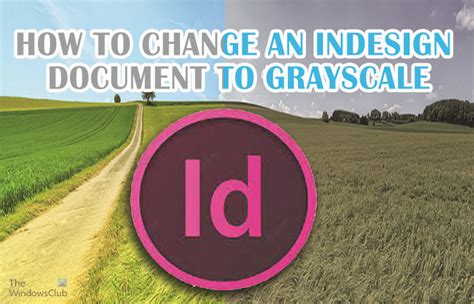 How To Convert Indesign Document To Grayscale
