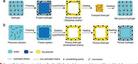 Figure 1 From Omnidirectional Shape Memory Effect Via Lyophilization Of Peg Hydrogels