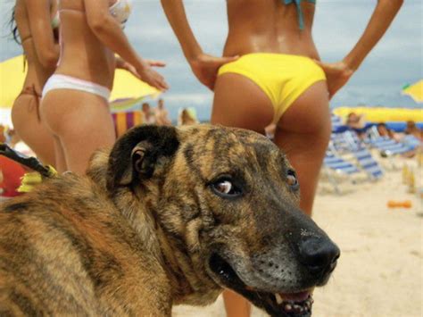 Best Wallpaper Funny And Sexy Wallpapers