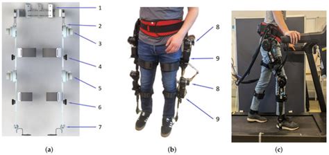 Design And Gait Control Of An Active Lower Limb Exoskeleton For Walking