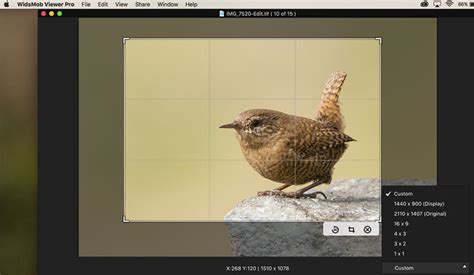 Widsmob Viewer Pro Review Is It The Best Mac Photo Viewer