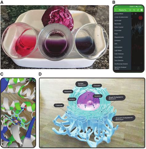 A Red Cabbage Based Ph Indicator Is Popular In Diy Activities For