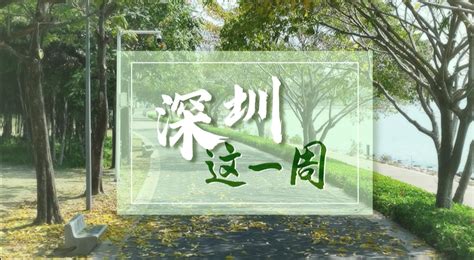 保障产业链供应链安全稳定 深圳成立专门小组统筹