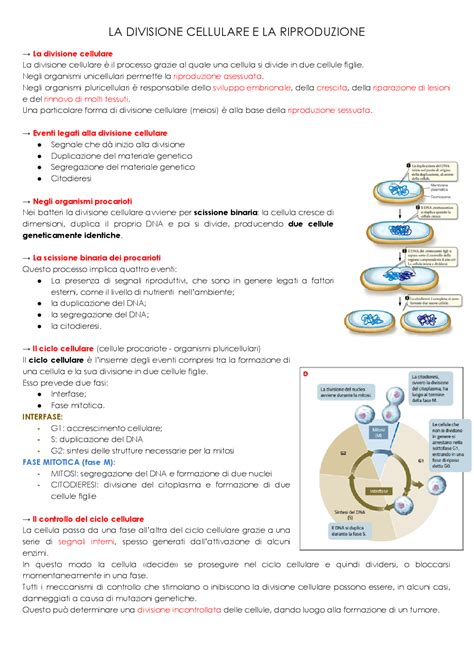La Divisione Cellulare E La Riproduzione Slide Di Biologia Docsity