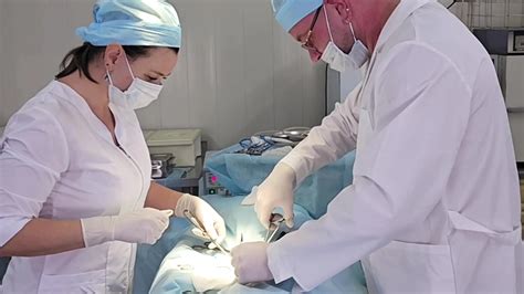 免費 Live 色情影片 Xhamster