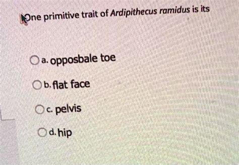 Solved One Primitive Trait Of Ardipithecus Ramidus Is Its A