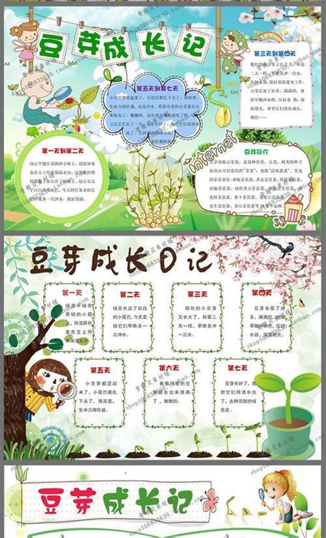 绿豆成长记观察日记手抄报雷锋日记手抄报 种植绿豆的手抄报