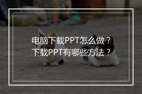 Ppt里如何插入剪贴画？剪贴画怎么添加到ppt中？ 8104办公软件