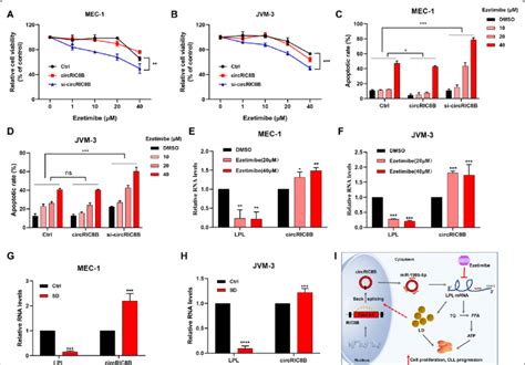 Cholesterol Absorption Inhibitor Inhibits Cell Viability Of Cll Cell