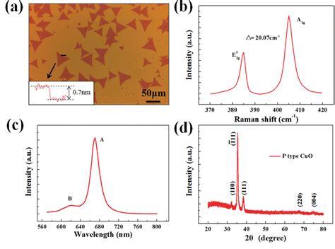 Figure 1 From A Flexible P Cuon Mos2 Heterojunction Photodetector With