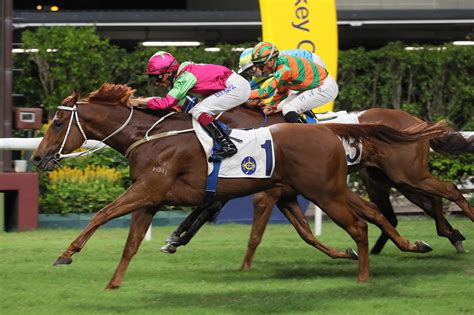 國際賽事化驗師及賽事管制獸醫聯合會議盃圖輯 賽馬新聞 香港賽馬會