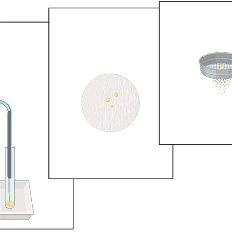 Comparison Of Residual Fragments Between Mgedta And Edta Irrigation Download Scientific Diagram