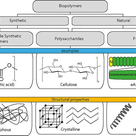 A Overview Of Different Biopolymers Including Synthetic Download