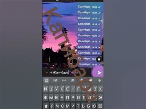КАПИБАРА!!!! КАПИБАРА КАПИБАРА КАПИБАРА КАПИБАРА КАПИБАРА КАПИБАРА ...