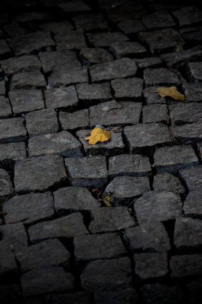 Hojas de otoño sobre los adoquines grises del casco antiguo Foto Premium