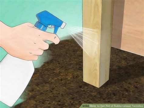5 Ways To Get Rid Of Subterranean Termites Wikihow