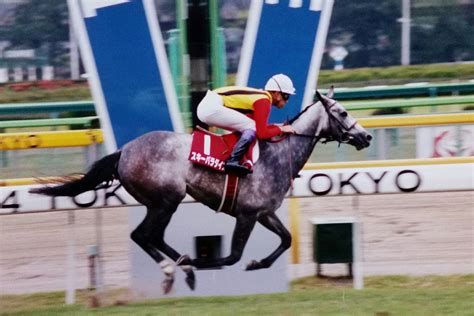 果敢な日本遠征と、優雅な重賞制覇。エアトゥーレやシルヴァーソニックらを輩出した牝系の祖となった外国馬、スキーパラダイス。 ウマフリ