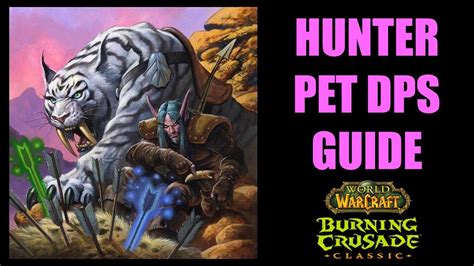 Hunter Tbc Guide