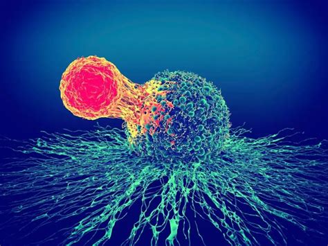 Drops For Immunity Rating Instructions For Use And Reviews Drugs