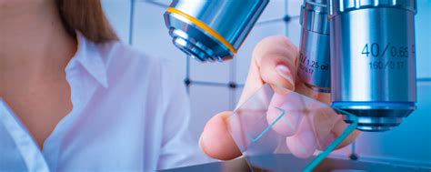 Immuno Reference Lab Added A New Photo Immuno Reference Lab