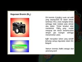 Kimia Unsur Halogen Reaksi Unsur Halogen Dan Keberadaannya Di Alam Pptx