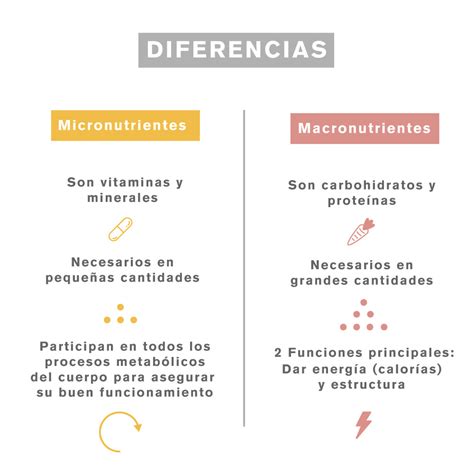 Diferencias Entre Macronutrientes Y Micronutrientes
