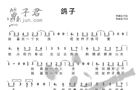 鸽子笛子简谱暂无曲笛子君曲谱网