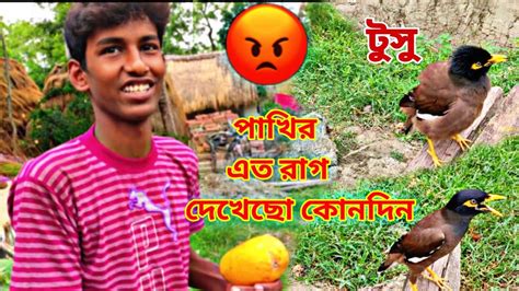 একটা পাখির যে এত রাগ হতে পারে না দেখলে বুঝতে পারবেন না ।। Youtube