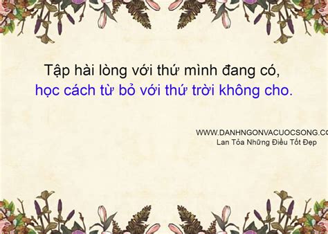 Những Câu Nói Hay Về đam Mê Khát Vọng Kỹ Năng Sống Lý Tưởng Sống