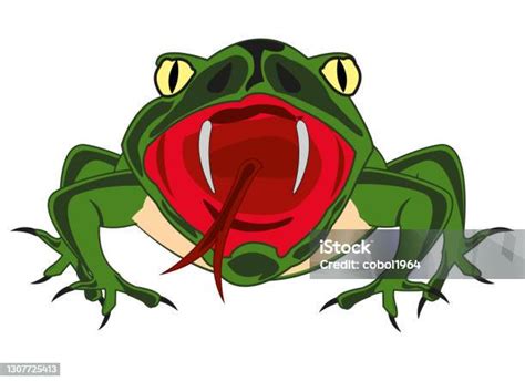 Kartun Katak Amfibi Pada Latar Belakang Putih Terisolasi Ilustrasi Stok
