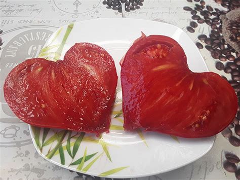 Семена: Томат Сердце быка Гресси /Cuore di Bue Gressi/. Розовые и ...