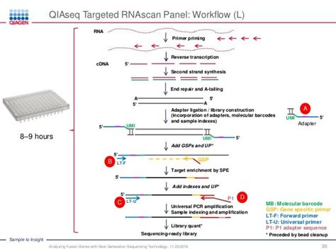analyzing fusion genes using next generation sequencing