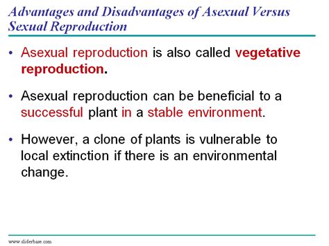 Plants Reproduce Sexually Asexually Or Both