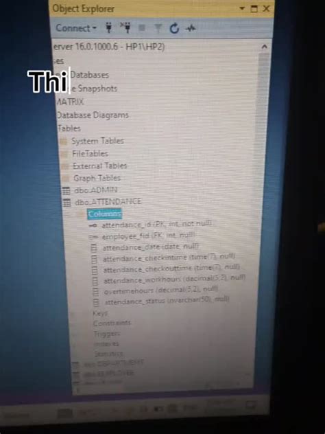 seeking a database job in sql areej chaudhry posted on the topic