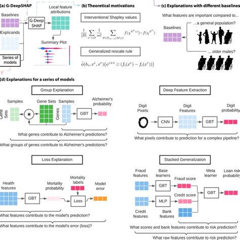 G Deepshap Estimates Shapley Value Feature Attributions To Explain A