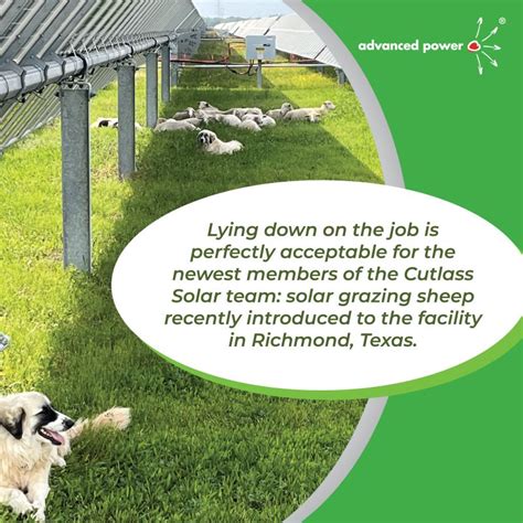 Advanced Power On Linkedin Solar Development Assetmanagement