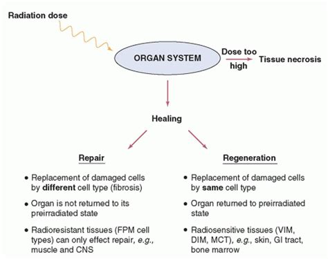 Radiation Biology Radiology Key