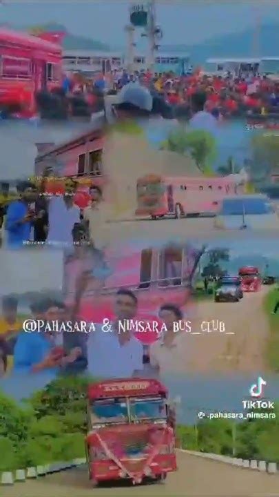 දම් රැජිනට 💟💟ආදරේ අය ලයික් එකක් දාමුත Youtube